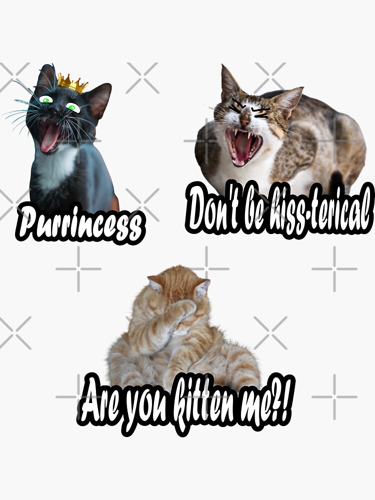 "cat stickers with puns" Sticker for Sale by Kaiserka-art | Redbubble