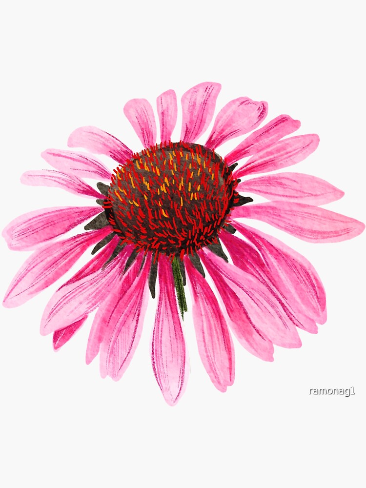 "Watercolor Pink Daisy Design. Nature Lover Design" Sticker by ramonag1 ...