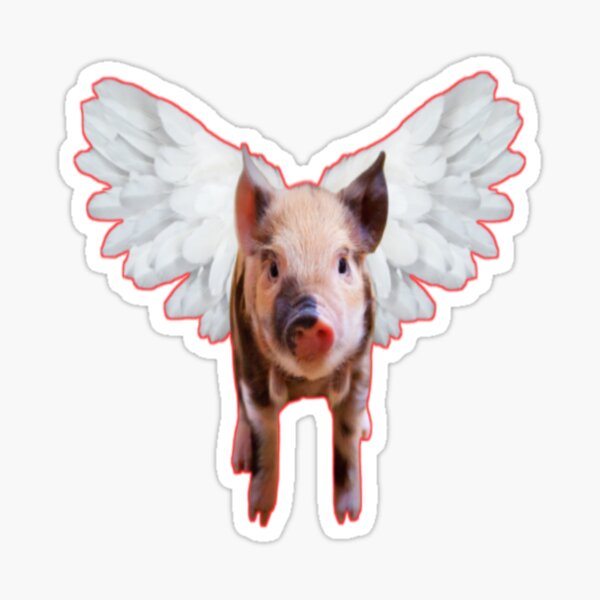 "Winged pig" Sticker by Hamaridukaan | Redbubble