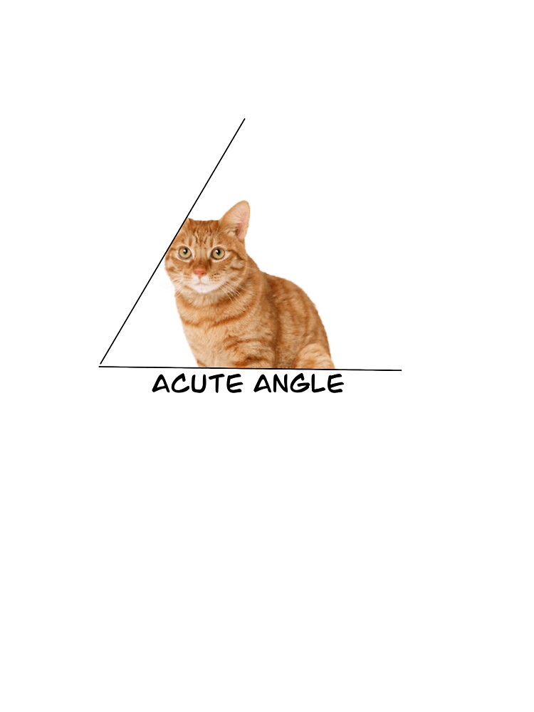 "Acute angle pun" Sticker by Ani-animations | Redbubble