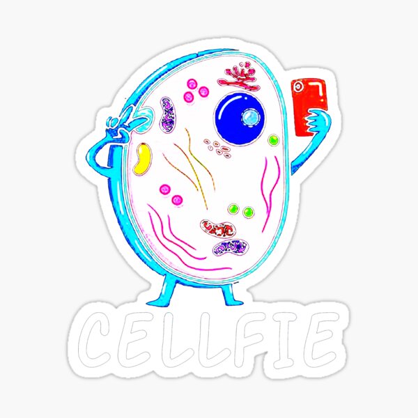 Cellfie Stickers | Redbubble
