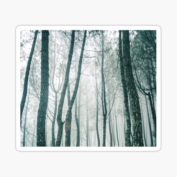 "forest tree" Sticker by Chitrogiri | Redbubble