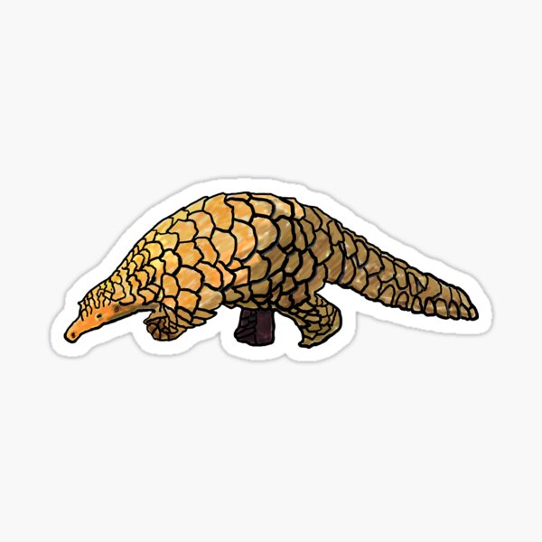 "Pangolin" Sticker for Sale by Mark-Ewbie | Redbubble