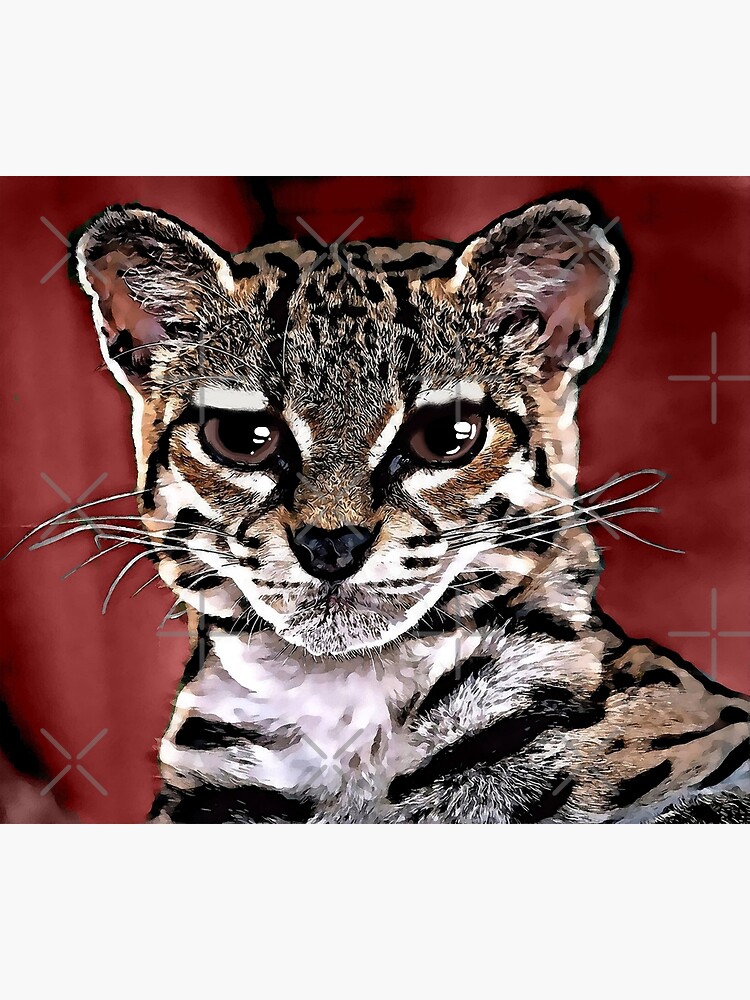 "Margay" Poster by Manar-hamad | Redbubble