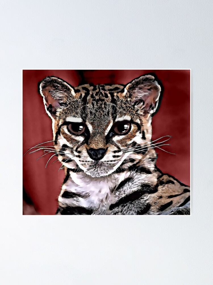 "Margay" Poster by Manar-hamad | Redbubble