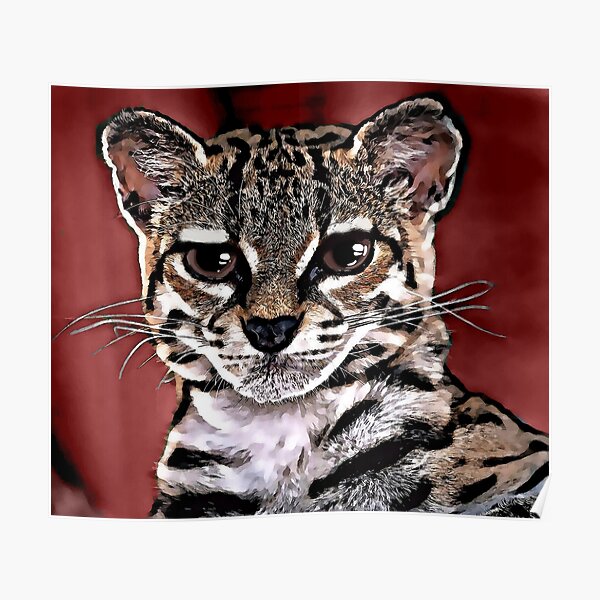 "Margay" Poster by Manar-hamad | Redbubble