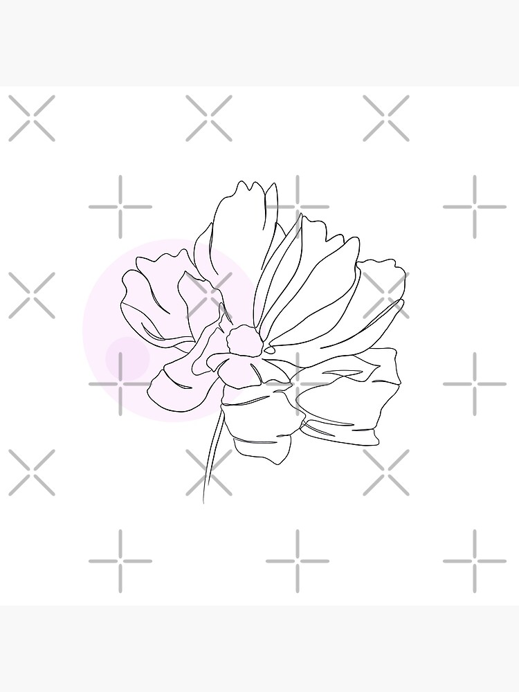 "Cosmos One Line Art" Art Print for Sale by StudioMinaar | Redbubble