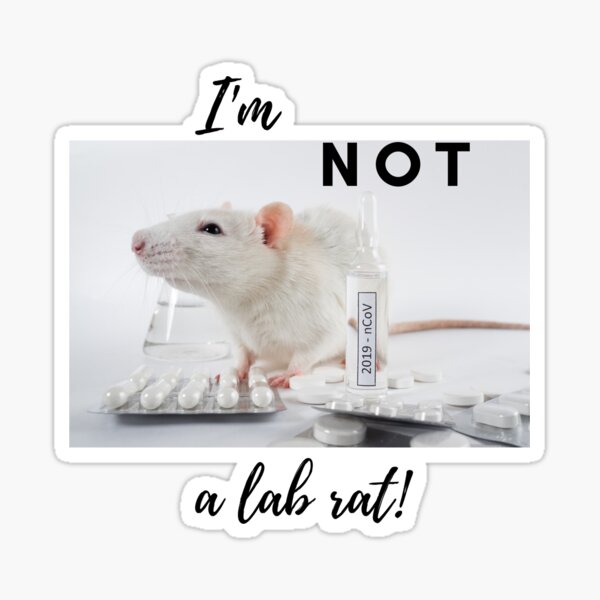 "No COVID lab rat here" Sticker for Sale by Cutelyn | Redbubble