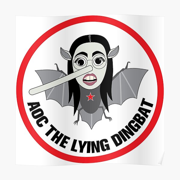 Paper AOC quote sticker AOC sticker Water Bottle Alexandria Ocasio ...