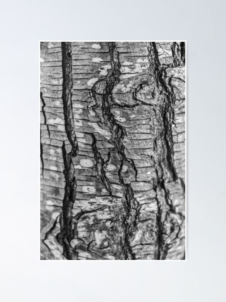 "Tree Bark" Poster by Godzillafreak00 | Redbubble