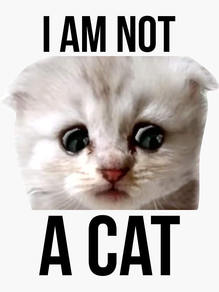 "I Am Not A Cat" Sticker for Sale by Davenport-Art | Redbubble