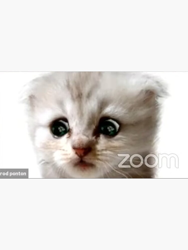 "Zoom Cat (Rod Ponton) Lawyer" Sticker by tik-tok-sticker | Redbubble