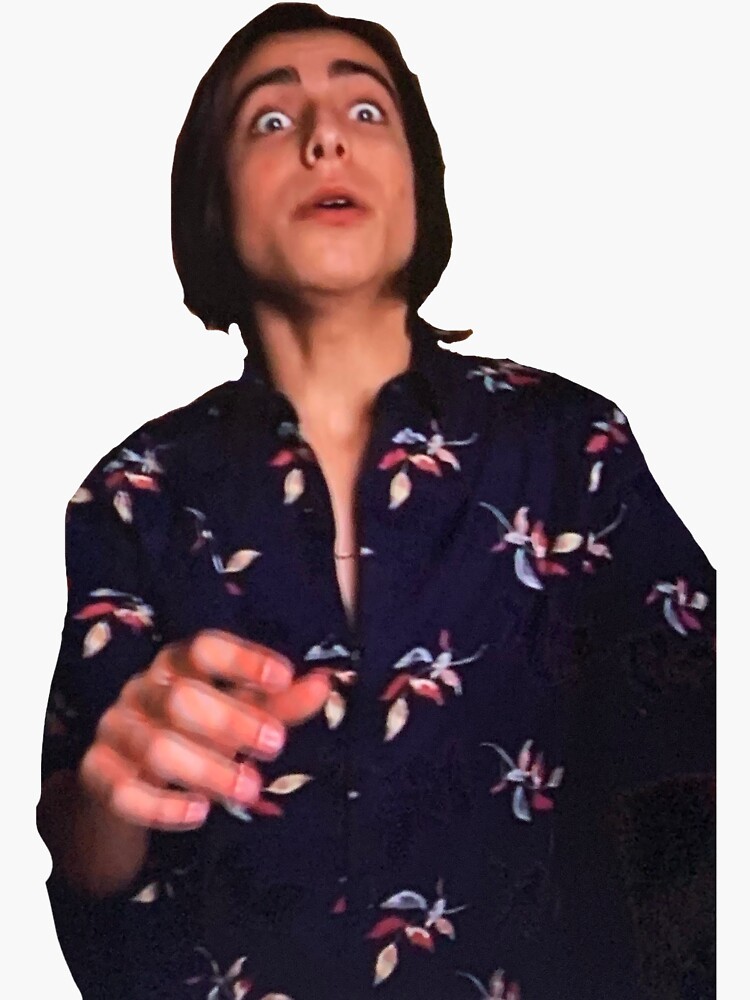 "Aidan gallagher " Sticker for Sale by ryliekharris | Redbubble