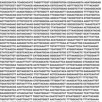 "Genome ATGC DNA base pairs genes" Sticker for Sale by labstud | Redbubble