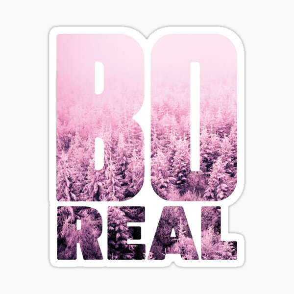 "Scandinavian coniferous forest BOREAL" Sticker for Sale by pantherung ...