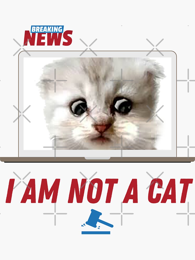 "Rod Ponton I am not a Cat Funny Lawyer Meme Texas" Sticker for Sale by ...
