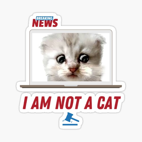"Rod Ponton I am not a Cat Funny Lawyer Meme Texas" Sticker for Sale by ...