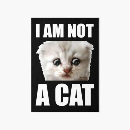 "I Am Not a Cat Meme, Lawyer Zoom Meeting" Art Board Print by BAH ...