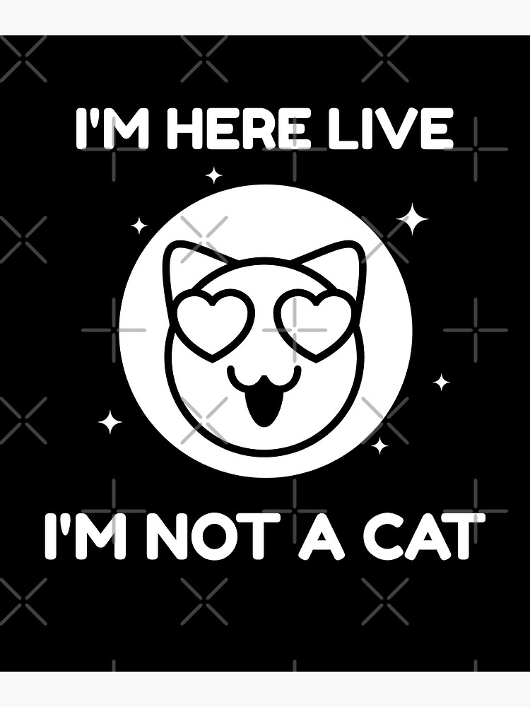 "I Am Here Live I Am Not A Cat - I'm Here Live I'm Not A Cat - I'm Here ...