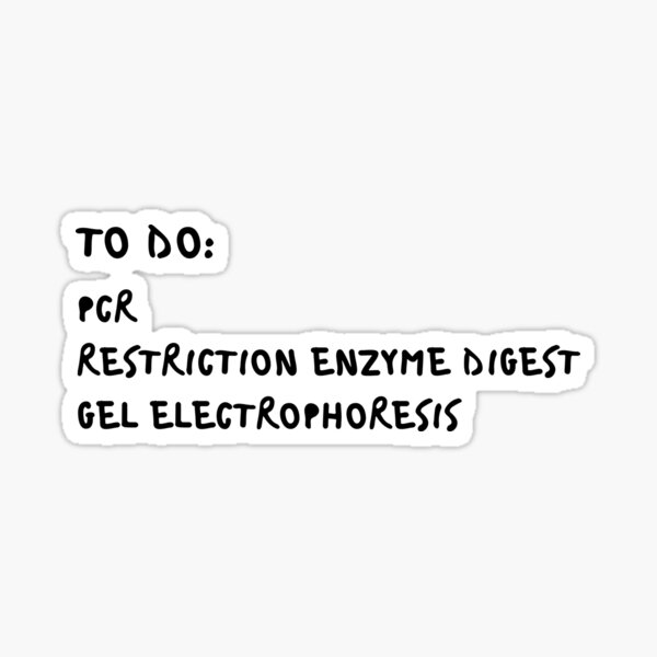 "PCR Gel Electrophoresis" Sticker by cutepatterns | Redbubble