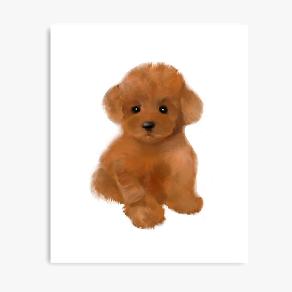 Cavapoo Stuffed Animal | atelier-yuwa.ciao.jp