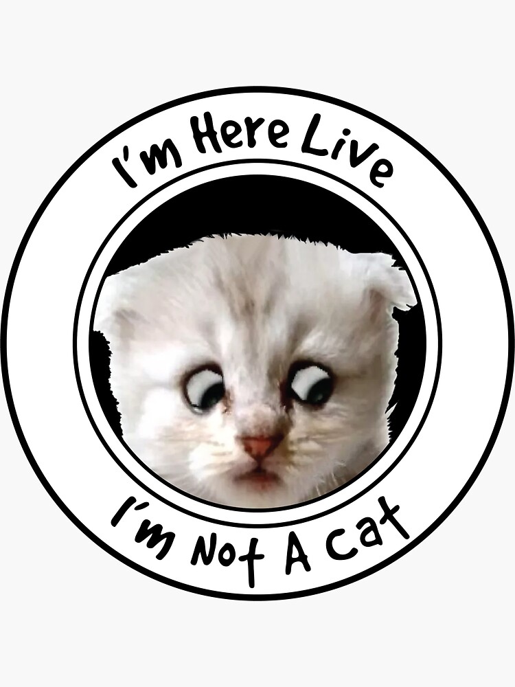 "Rod Ponton "I'm here live, I'm not a cat"" Sticker for Sale by ...