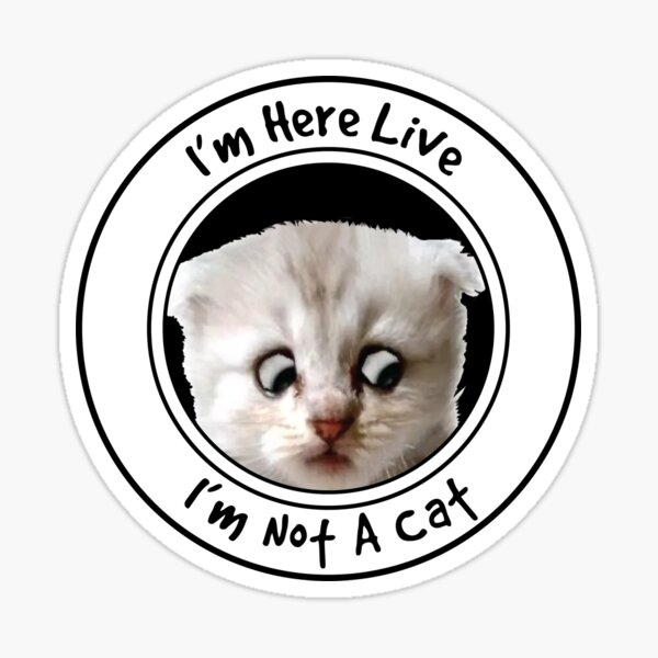"Rod Ponton "I'm here live, I'm not a cat"" Sticker for Sale by ...