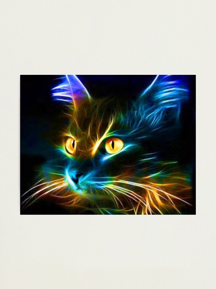 "Rainbow Neon Cat" Photographic Print by aarongy1234 | Redbubble