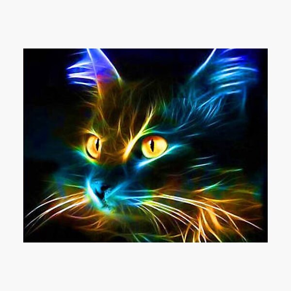 "Rainbow Neon Cat" Photographic Print by aarongy1234 | Redbubble