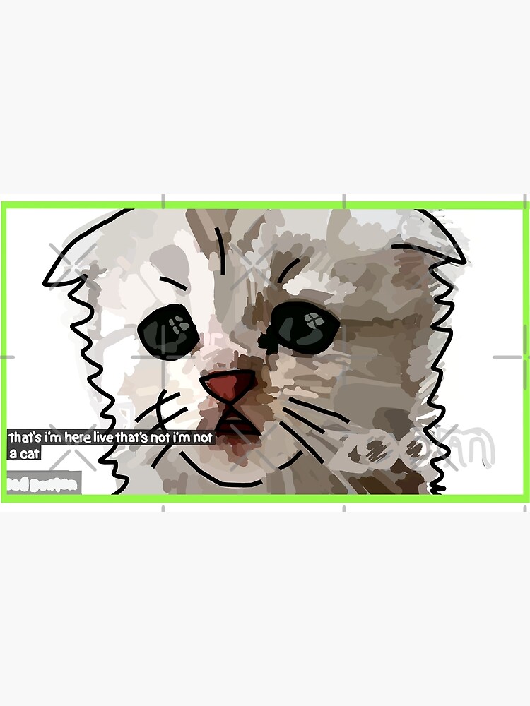 "Funny Zoom Cat says Im not a cat Meme" Poster by ellenhenry | Redbubble