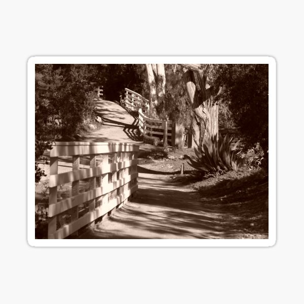 "A Winding Path " Sticker for Sale by SashaSprite | Redbubble