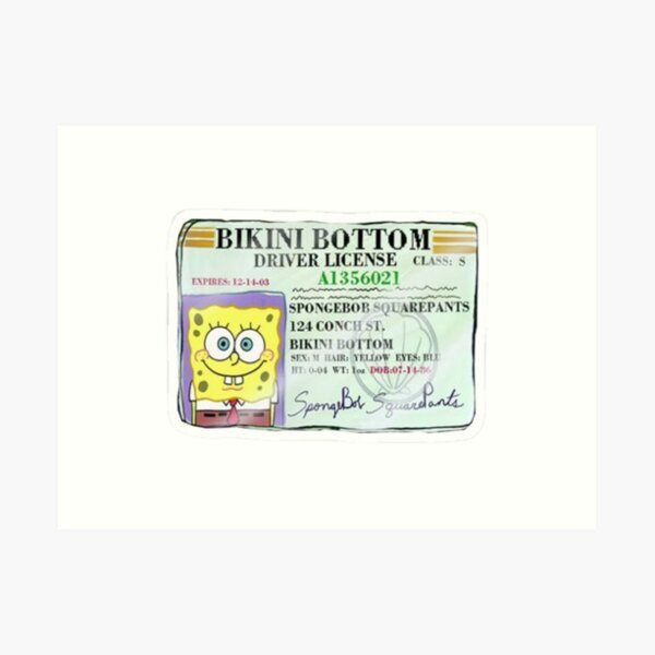 "Spongebob Squarepants driver license" Art Print by Pinkbicshop | Redbubble