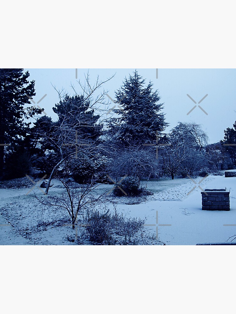 "Another Cold Winters Day" Sticker for Sale by ParadoxStarPics | Redbubble