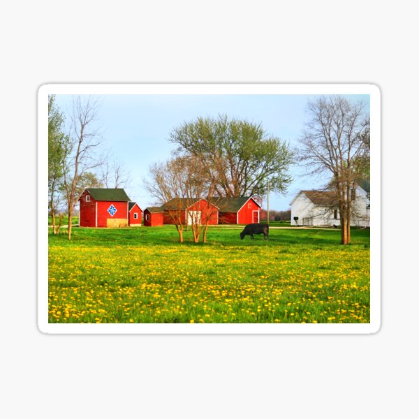 "Gold Rush" Sticker for Sale by MsTique | Redbubble