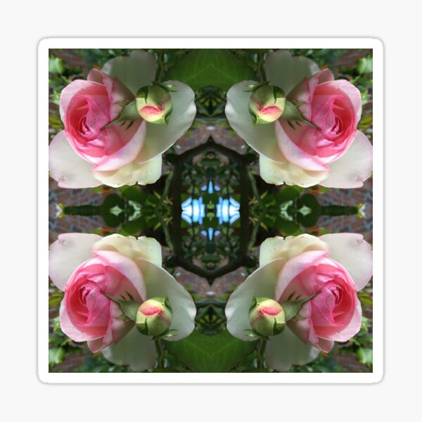 "Botanical Divine - Pierre de Ronsard Roses, Symmetry of Love " Sticker ...