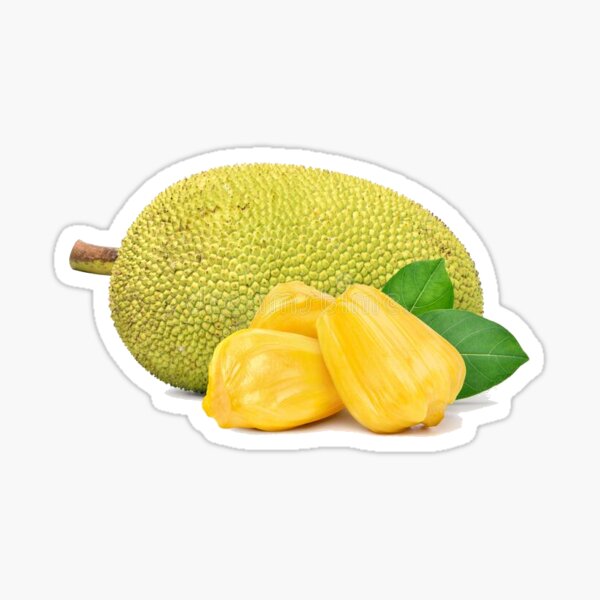 "Fresh Jackfruit Fruit picture | beautiful image" Sticker for Sale by ...