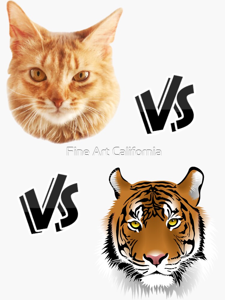 "Cat Vs Tiger" Sticker for Sale by sourav1993 | Redbubble