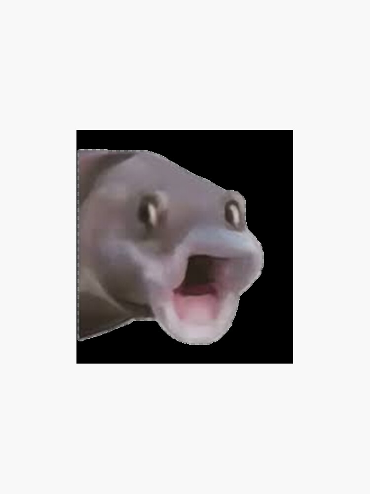 "Pog Fish" Sticker for Sale by DonutBooper | Redbubble