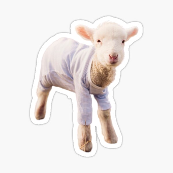"So sheepy" Sticker for Sale by ATSD | Redbubble
