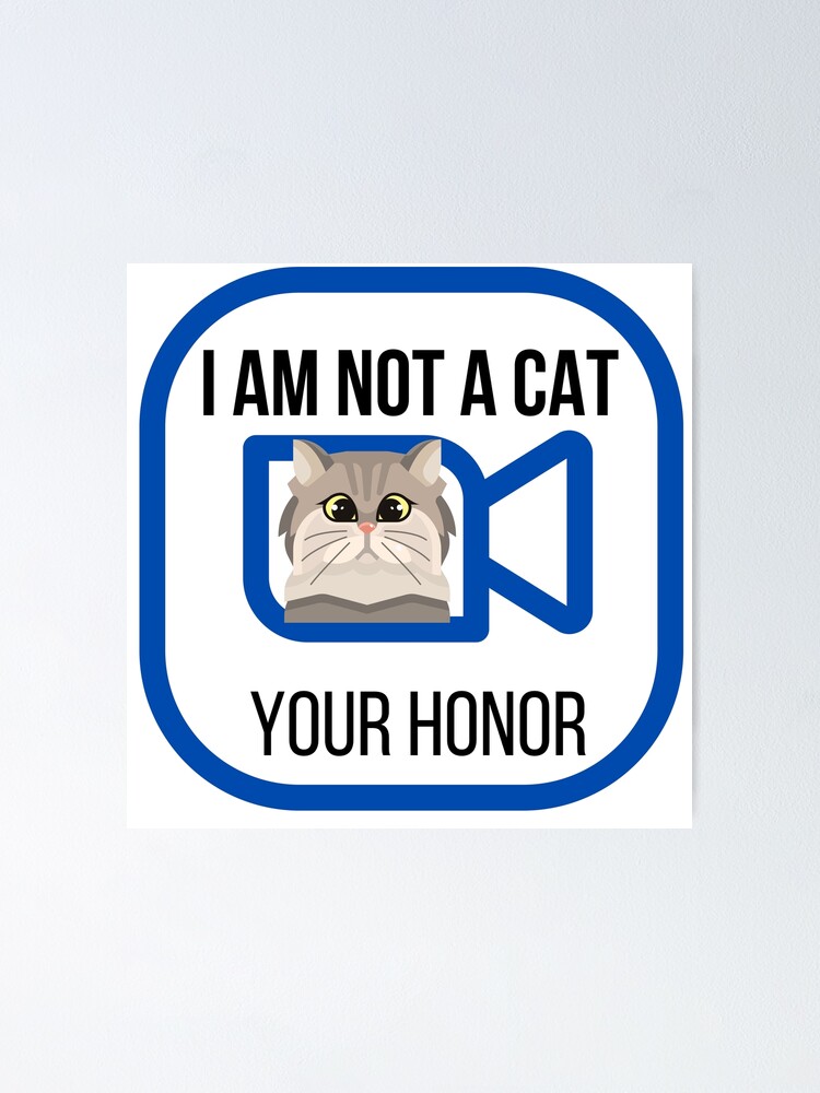 " I Am not a Cat Your Honor Zoom Meeting " Poster for Sale by ezele ...