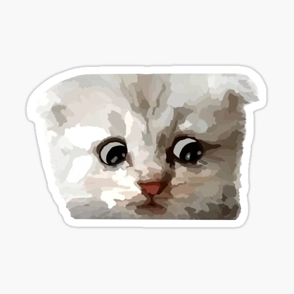 "Zoom Cat meme" Sticker by CynicalDesigned | Redbubble