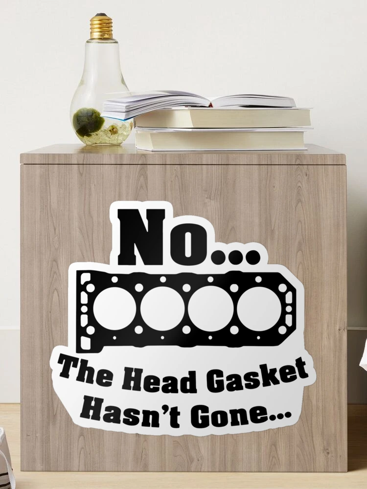 Mg Head Gasket Memes Head Gasket Joke | TikTok