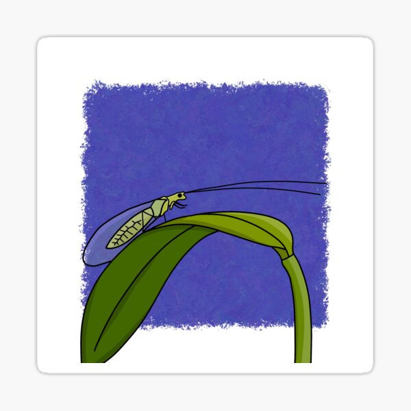"Aphid Lion Green Lacewing" Sticker by Evertold | Redbubble