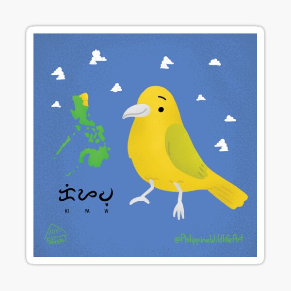 Pegatina «Kiyaw o Isabela Oriole (Oriolus isabellae)» de Filipeanut | Redbubble