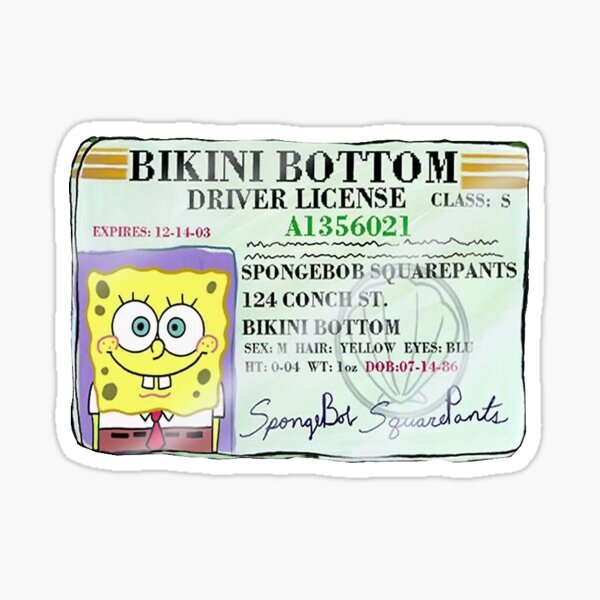 Bikini Bottom License Stickers | Redbubble