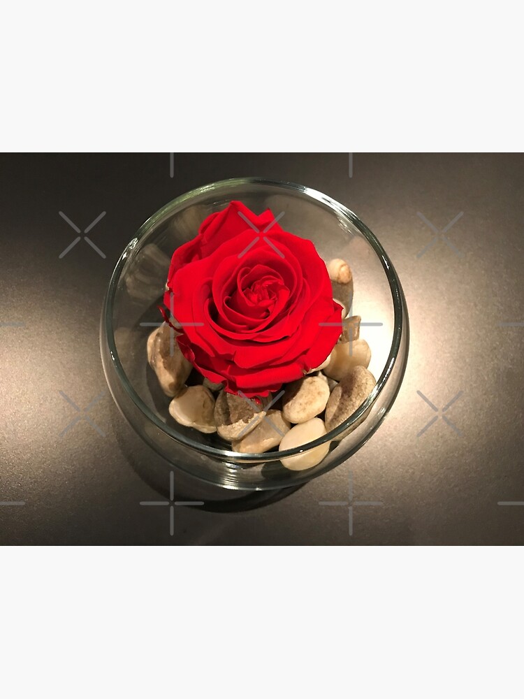 "Zen Rose" Poster by ponted | Redbubble