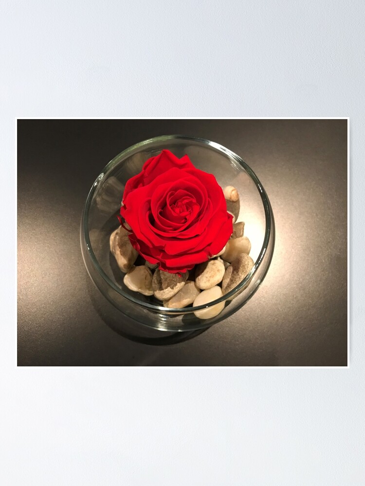 "Zen Rose" Poster by ponted | Redbubble