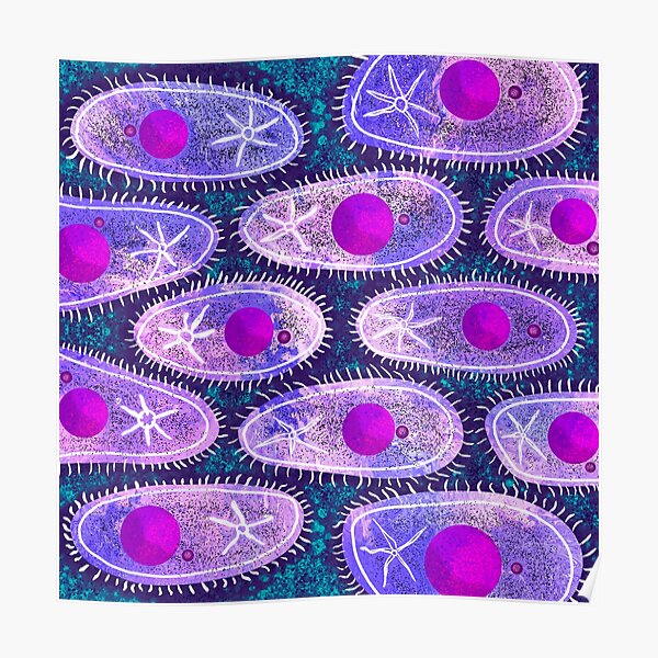 "Paramecium 2nd version" Poster for Sale by Osher-BioArt | Redbubble