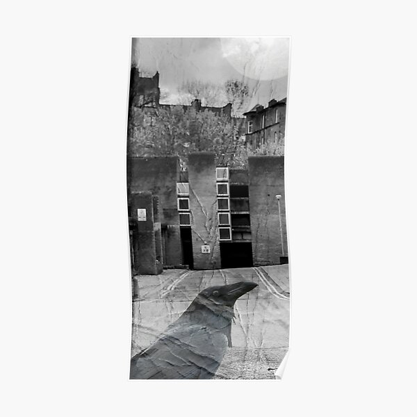 "Crow Ghost" Poster by DLZart | Redbubble