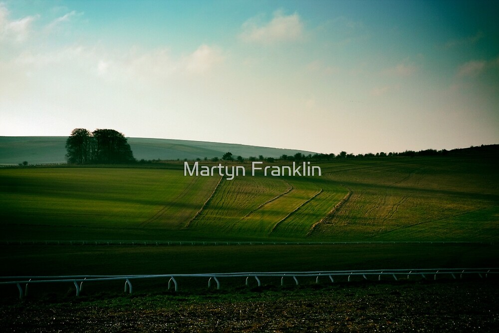 "Weird and wonderful Wiltshire in the UK" by Martyn Franklin | Redbubble